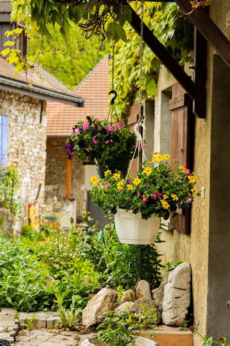 배경 화면 사진술 옥외 자연 푸른 잎 꽃들 덩굴 이파리 마을 건물 관목 집 1365x2048 Kazuoshiden 2241646 배경 화면