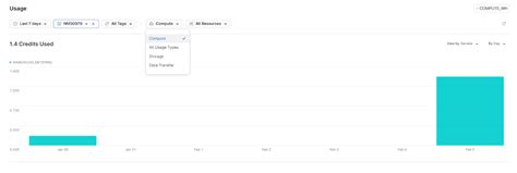 Snowflake Compute Costs 101—an In Depth Guide 2025
