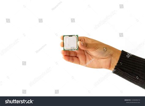 Hand Holding Computer Processor Cpu Isolated Stock Photo 1243690210 Shutterstock