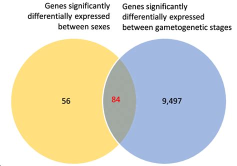 Venn Diagram Within Gonad Transcriptome For Genes Significantly