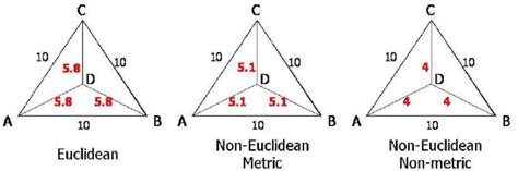 Illustration Of The Difference Between Euclidean Metric But