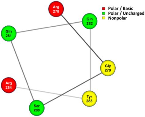 Helical Wheel Representation [104] Of The ²⁷⁸rgsqqy²⁸³ M Loop Download Scientific Diagram