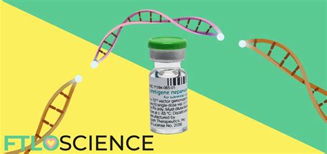Drug Polymorphism What It Is And How To Control Polymorphs Ftloscience