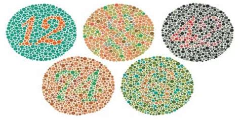 Color Blindness QS Study