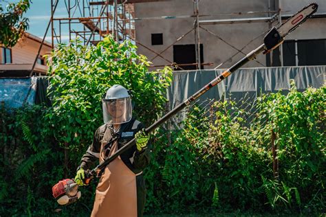 Tree Trimming S B Kani