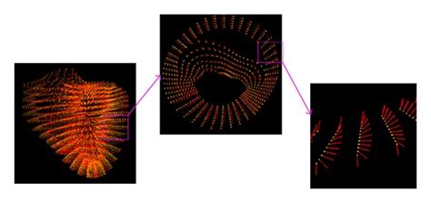Meshfree Representation Of Auckland Heart Model Download Scientific Diagram