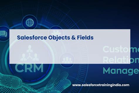 Salesforce Objects And Fields Salesforce Tutorial 2