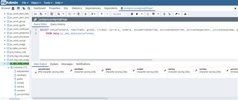 Error In Pega Personal Edition When Adding A Record In A Data Type