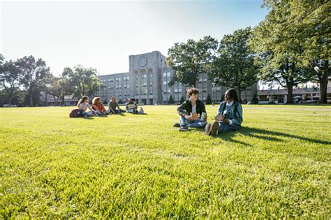캠퍼스 야외에서 잔디밭에 앉아 강의 후 간식을 즐기는 다양한 학생들 대학생에 대한 스톡 사진 및 기타 이미지 대학생 캠퍼스 학생 Istock
