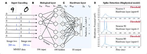 An Example Of Using The Hybrid Neural Network For Digit Recognition