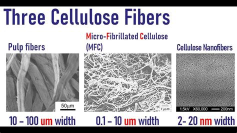 Cellulose Fibre