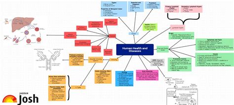 Cbse Human Health And Disease Class 12 Mind Map For Chapter 7 Of
