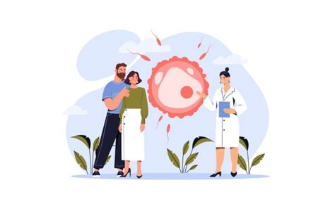 What Is Epididymis Causes Function And Treatment