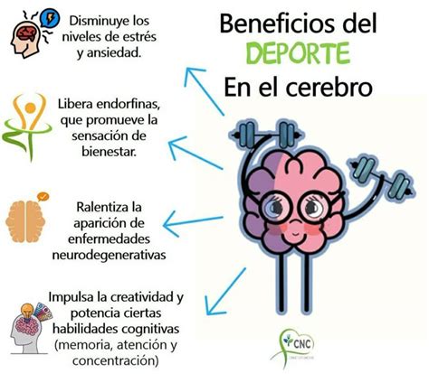 Beneficios Del Deporte En El Cerebro Beneficios De Hacer Ejercicio