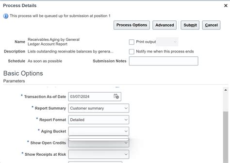 Aging Bucket Lov Is Null For Receivables Aging By General Ledger Account Report — Cloud Customer