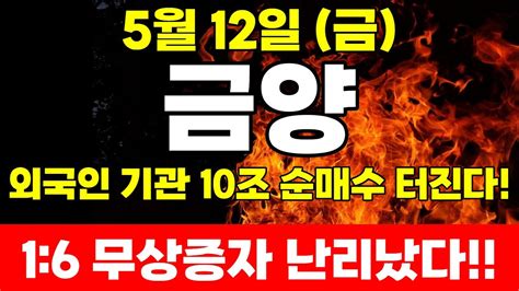 긴급속보 금양 16 무상증자 터졌다 내일 오후 3시까지 당장 매수하라 아침 시초가 부터 10연상 터진다금양 금양주가