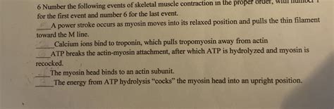 The Terminal Cisternae Of The Sarcoplasmic Reticulum Release