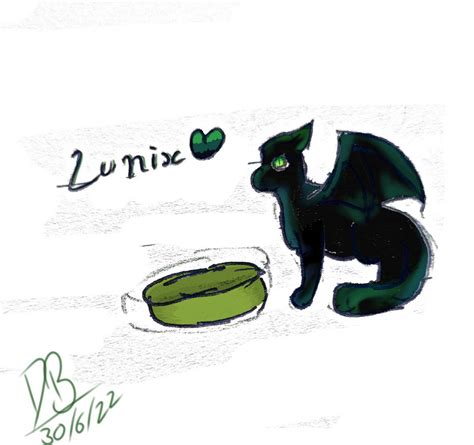 Lunix By Duckbang On Deviantart