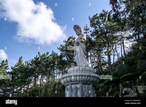 Buddhist Goddess Of Mercy Statue In Haedong Yonggungsa Temple In Busan