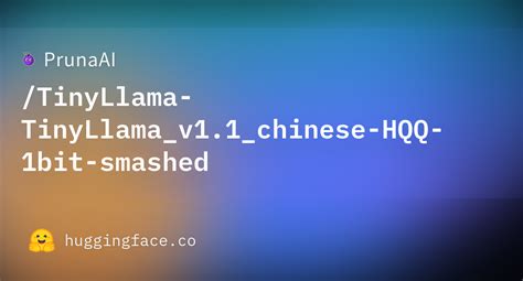 PrunaAI TinyLlama TinyLlama V1 1 Chinese HQQ 1bit Smashed At Main