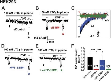 Wt Stim1 Is Required For Ltc4 Activated Currents In Hek293 Cells