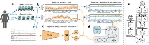 Figure 1 From Multi Resolution Modeling Of A Discrete Stochastic Process Identifies Causes Of