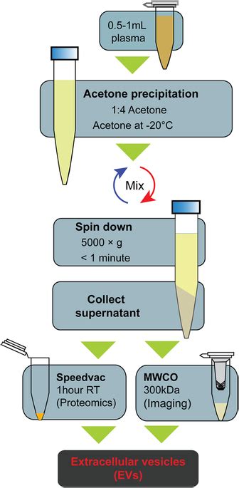 Schematic Diagram Depicting The Method Steps Involved In The Isolation