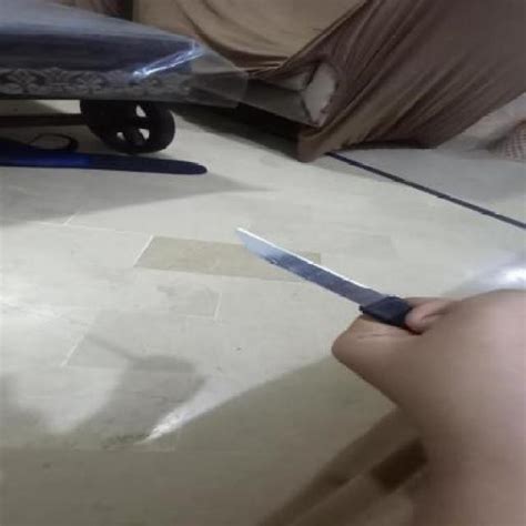 Knife Detection Object Detection Dataset V4 2024 04 23 4 35pm By Violence Detection