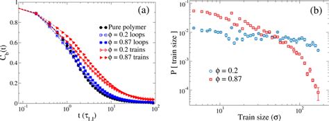 A Bond Autocorrelation Function C B T For The Pure Polymer Black Download Scientific