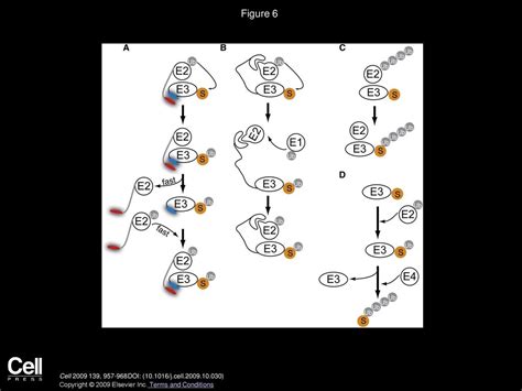 Volume 139 Issue 5 Pages November 2009 Ppt Download