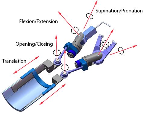 configuration of dofs for slave prototype download scientific diagram