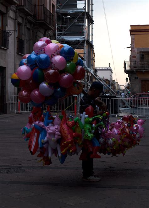 Img5702 1 Sofía Galván Flickr