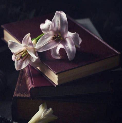 پدر و مادر ، دو عشق جاودان لحظاتی در زندگی هست وقتی که شما شدیدا دلتنگ کسی هستی به طوری که