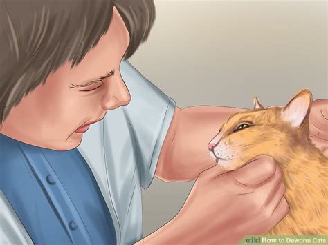 4 Ways To Deworm Cats Wikihow
