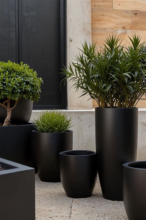 9 Minimalist Tall Planter Inspirations In Sleek Black For A Modern