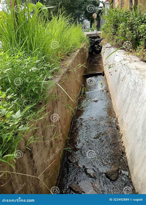 The Ditch At The Side Of The Road Flows Calmly The Water Is Thick And
