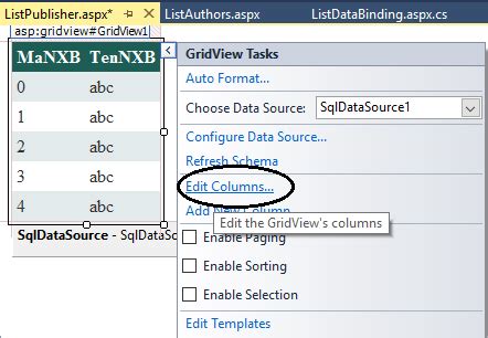Ng N Ng Asp Net Sql Data Source