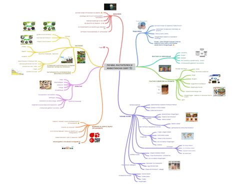 ПОЧВИ РАСТИТЕЛЕН И ЖИВОТИНСКИ СВЯТ Elephant D181d185d0b5d0bcd0b0…