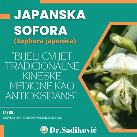 Dr Sadiković Ljubuski