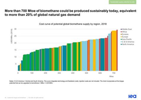 Outlook For Biogas And Biomethane Pdf