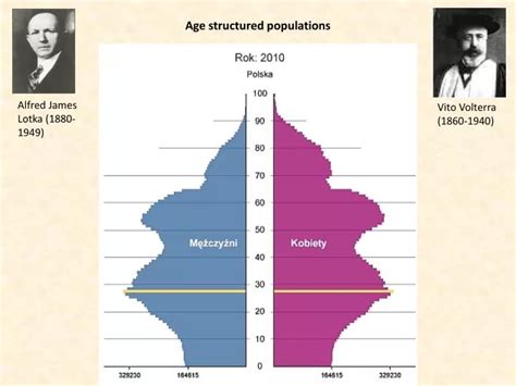 Ppt Age Structured Populations Powerpoint Presentation Free Download Id 2112598