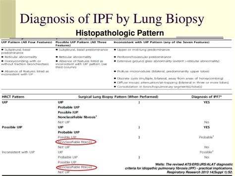 pathology of the idiopathic pulmonary fibrosis facts and controversies