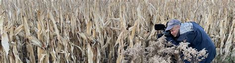 Vice Spotlights The Demise Of A Century Old Cattle Farm Due To Pfas Contamination Ecology Center