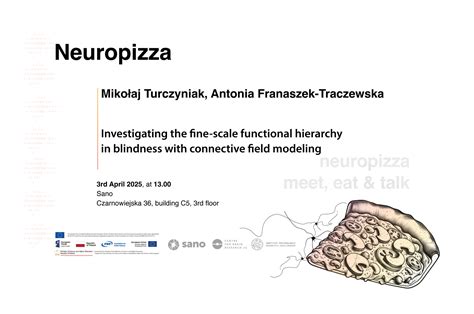 Investigating The Fine Scale Functional Hierarchy In Blindness With