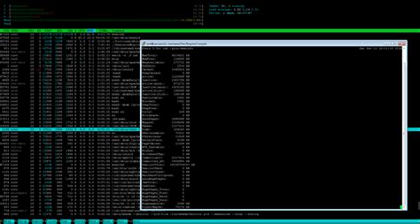 Ubuntu Htop Shows Massive Memory Usage But Proceslist Shows Otherwise Super User