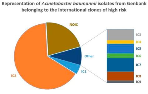 Representation Of A Baumannii Isolates Belonging To The International