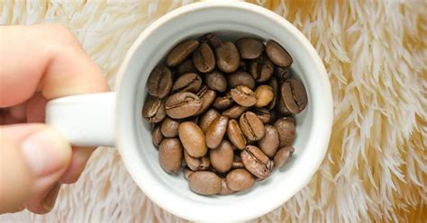 How Lions Mane Coffee Makes Your Brain Tingle Benjamin Cassiday