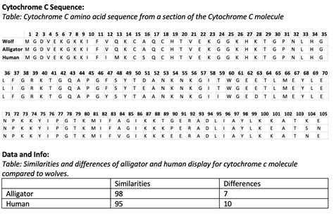 Grade 12 Biology Cytochrome C Sequence Ive Processed Data Of