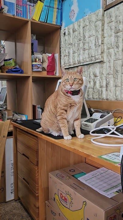 자~~~ㅇ구~~~ㄴ충성♡♡♡ Youtube