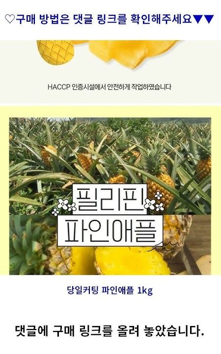 당일커팅 파인애플 1kg 1개 스틱 가성비 꿀맛 Shorts 내돈내산video Youtube